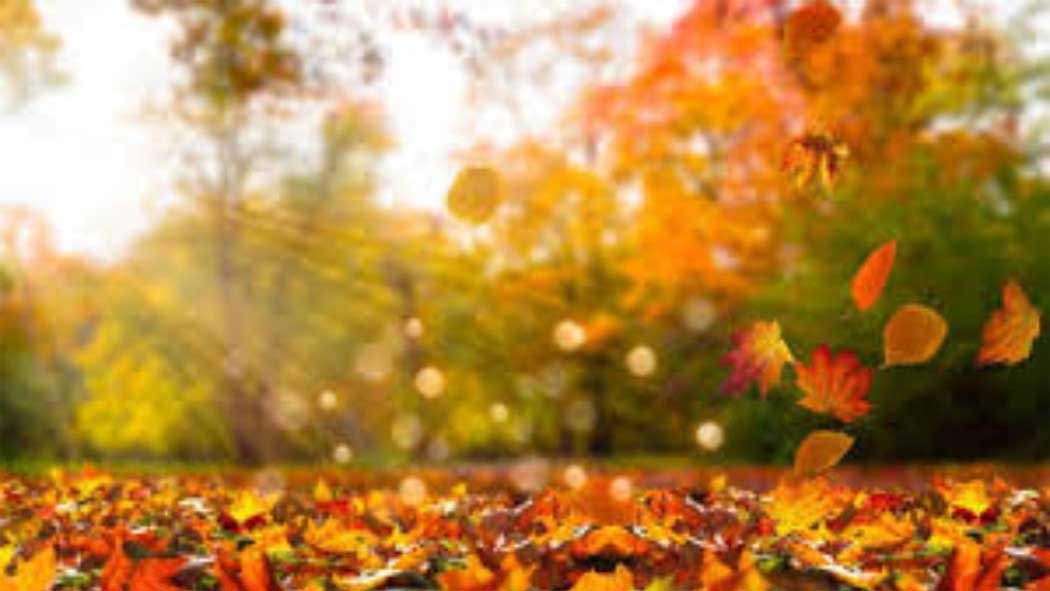 ¿Cuándo inicia el otoño de 2020? ¿Hora exacta del equinoccio? ¿Cuándo inicia el otoño de 2020? ¿Hora exacta del equinoccio?